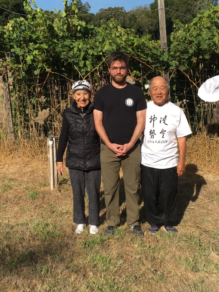 What are “Internal” Martial Arts? - Sun Tan Taiji